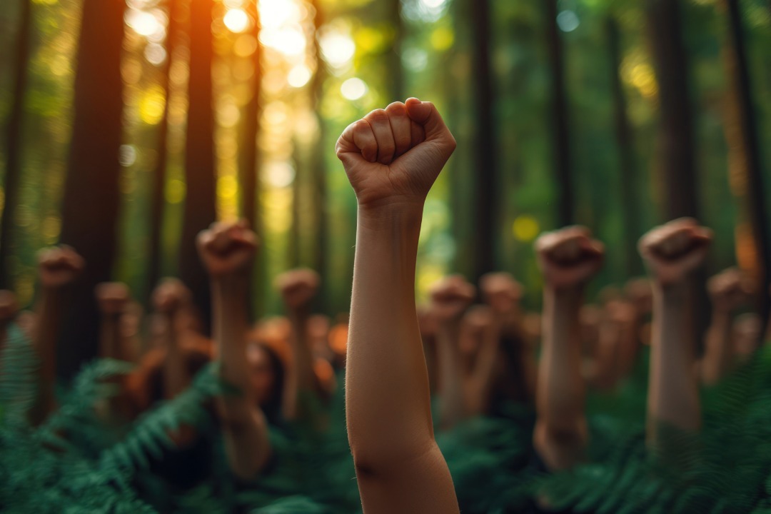 Human Rights & Environmental Safeguards - STRAT Institute